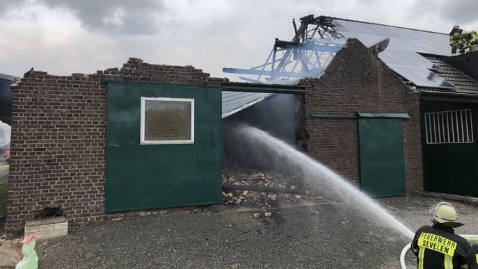 Brand einer Scheune - Drei Kühe verendet [ Einsatzbericht / Issum Sevelen ]